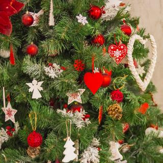 Sapin, épicéa, pin : quelles différences